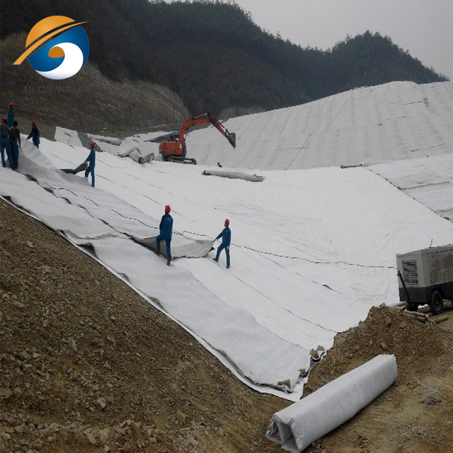 Geonet Composite Drainage Net Manufacturer_supplier_price - Shandong ...