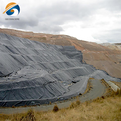 Textured Geomembrane Manufacturer_supplier_price - Shandong Geosino New ...