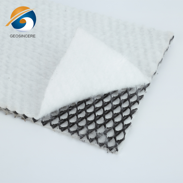 Geonet Composite Drainage Net Manufacturer_supplier_price - Shandong ...